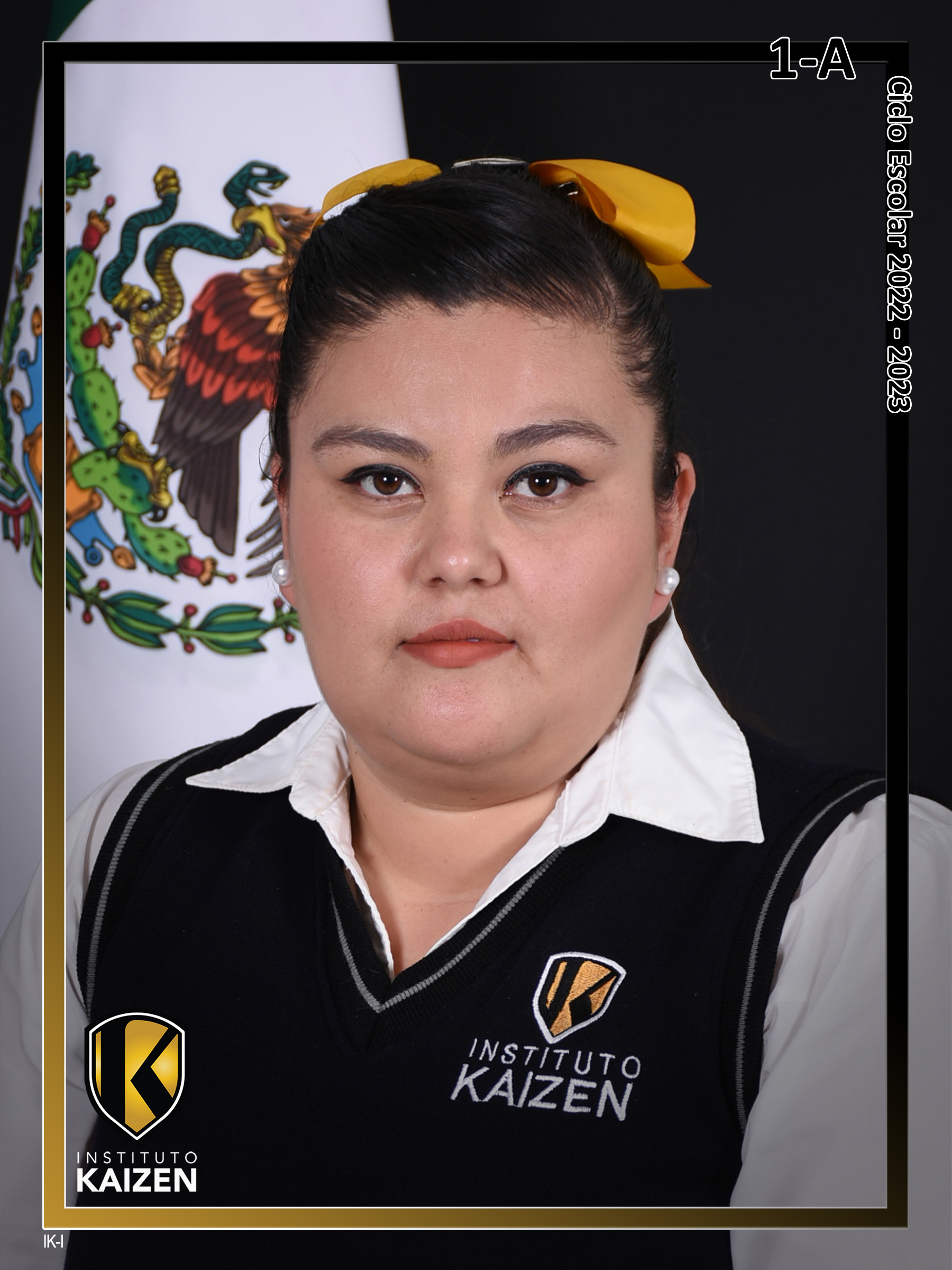 Nosotros – Instituto Kaizen