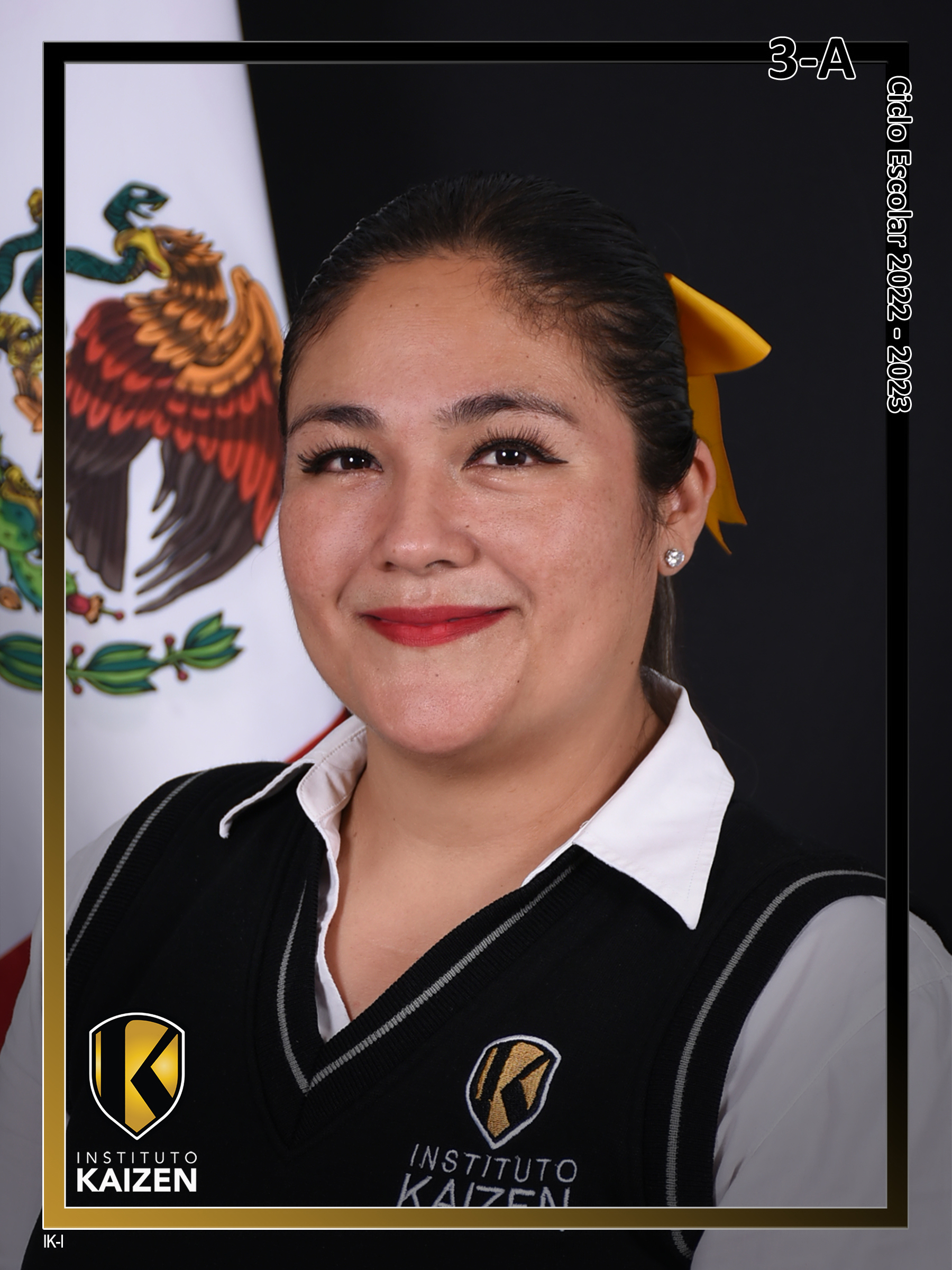 Nosotros – Instituto Kaizen